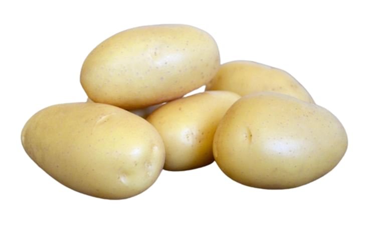 Queen Anne Potato Supplier | Potato Seller | Buy Potatoes